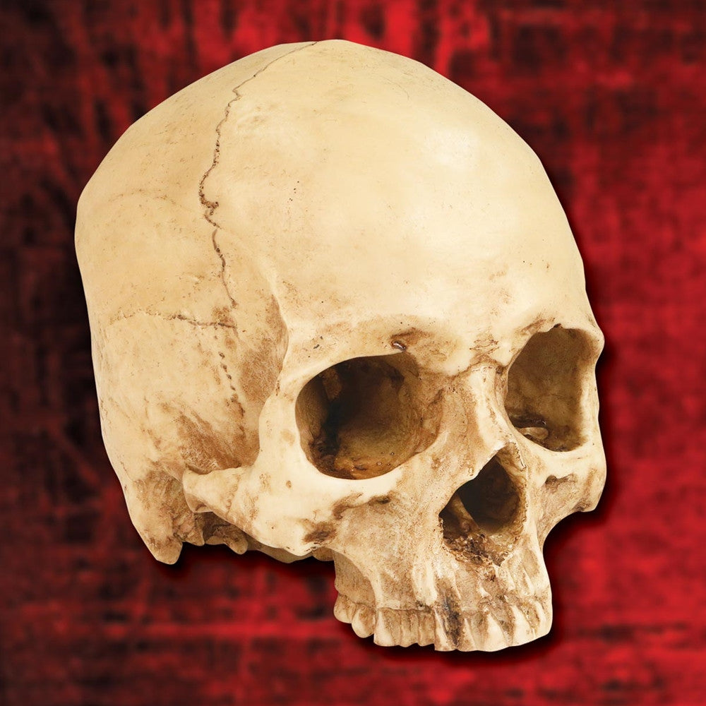 hyper realistic skull